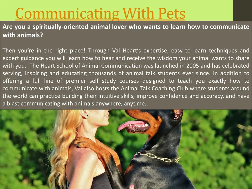 PPT - Pet Communication PowerPoint Presentation, free download - ID:7665610