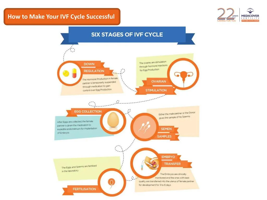 PPT - How to Make IVF Cycle Successful PowerPoint Presentation, free ...