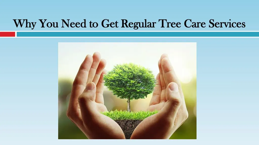 PPT - Why You Need to Get Regular Tree Care Services PowerPoint ...