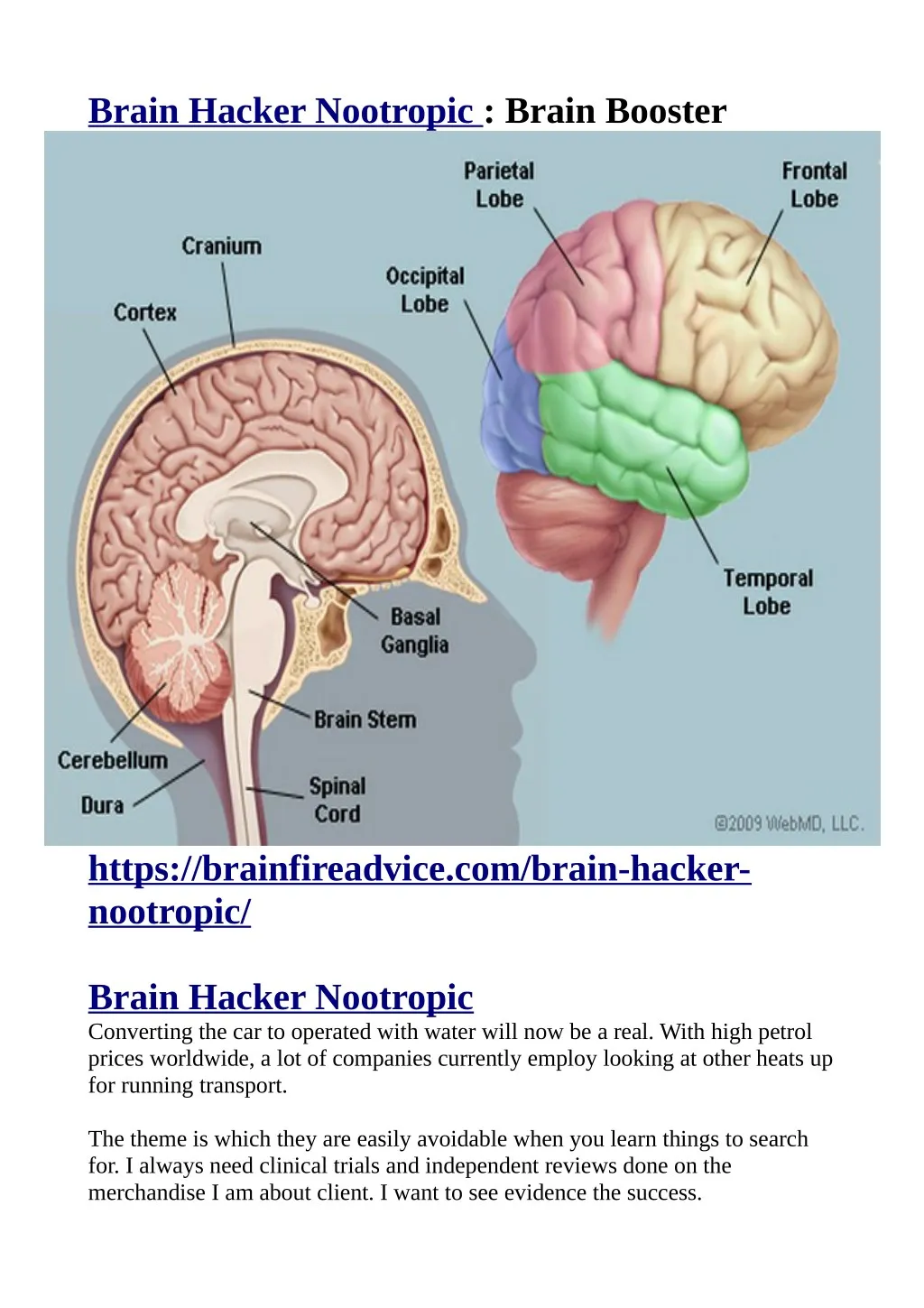 PPT - https://brainfireadvice.com/brain-hacker-nootropic/ PowerPoint ...