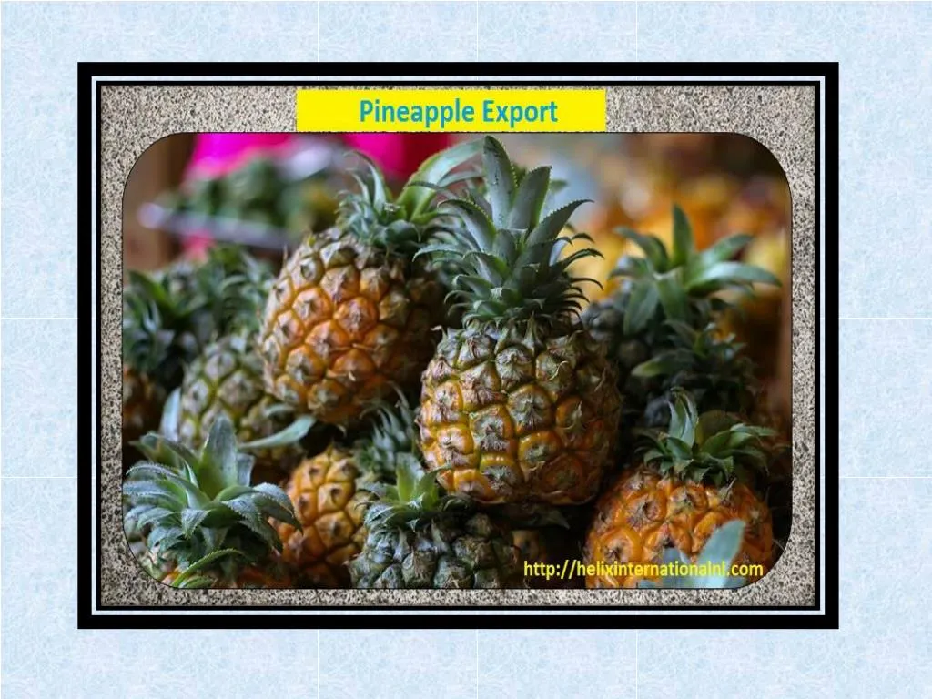 PPT - Importance of Pineapple in Your Diet PowerPoint Presentation ...
