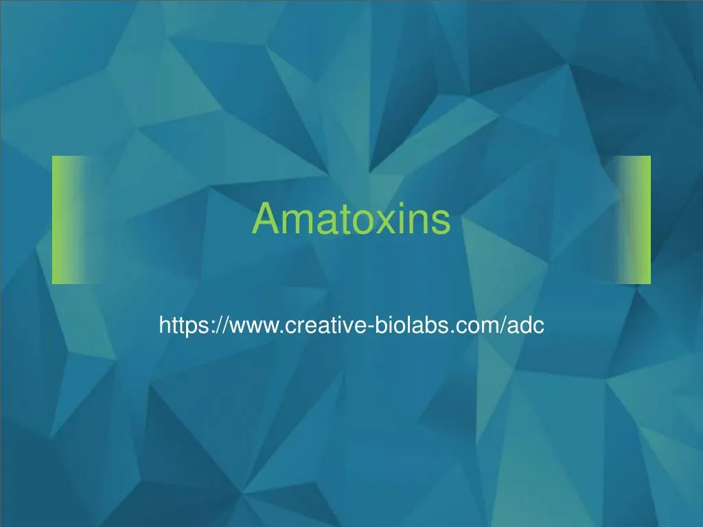 PPT - Amatoxin PowerPoint Presentation, free download - ID:7698283