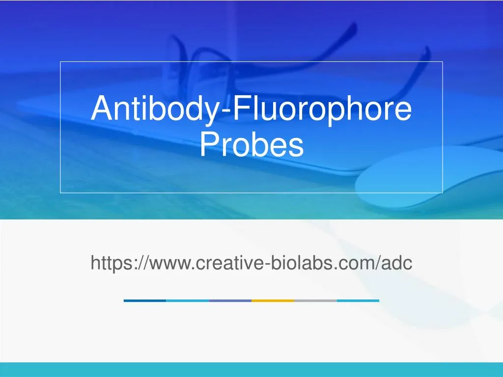 PPT - Antibody Fluorophore Probes PowerPoint Presentation, free ...