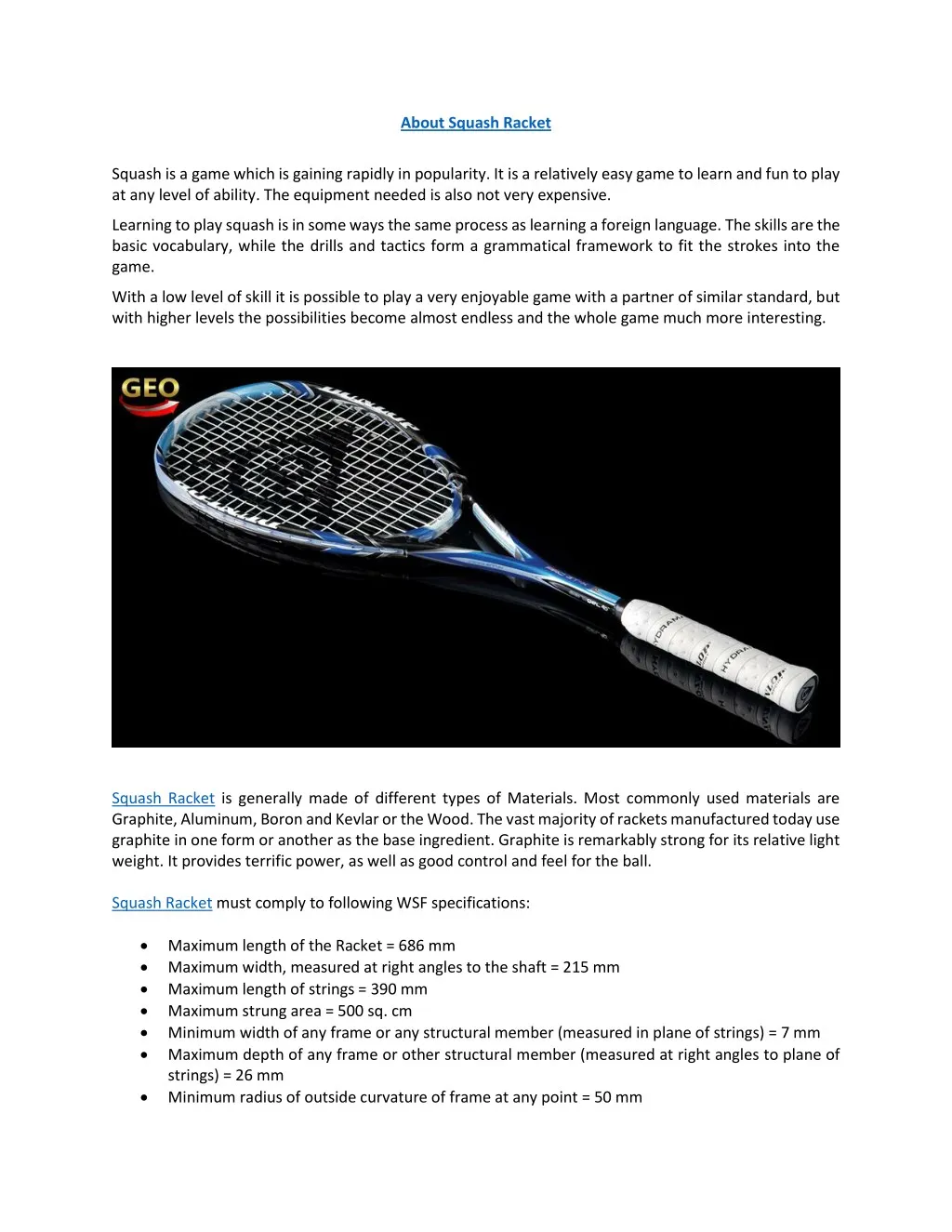 PPT - Squash Racket PowerPoint Presentation, free download - ID:7698443