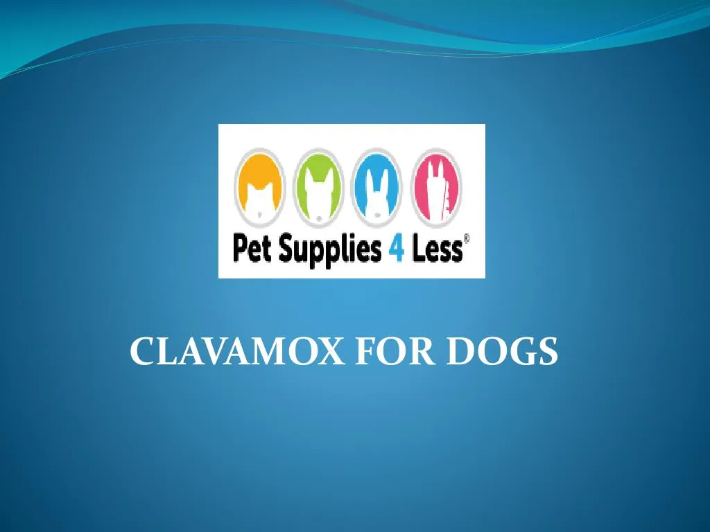 PPT - Clavamox For Dogs PowerPoint Presentation, free download - ID:7705940