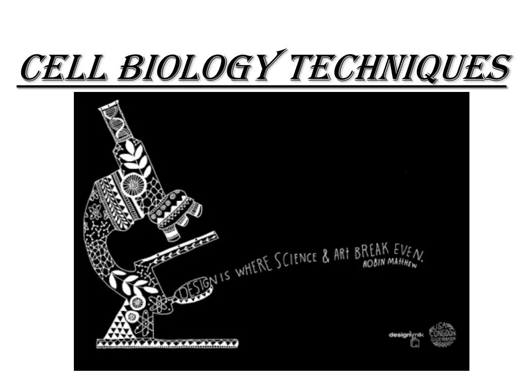 PPT - cell biology technique PowerPoint Presentation, free download ...