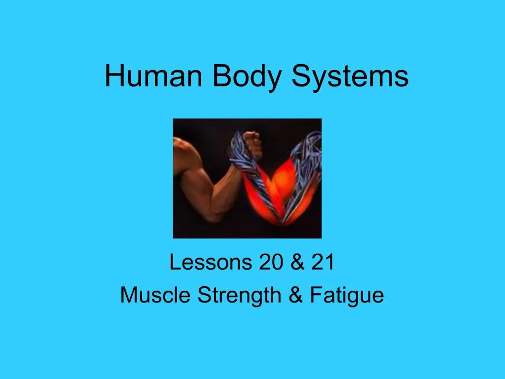 PPT - Human Body Systems PowerPoint Presentation, free download - ID:774188