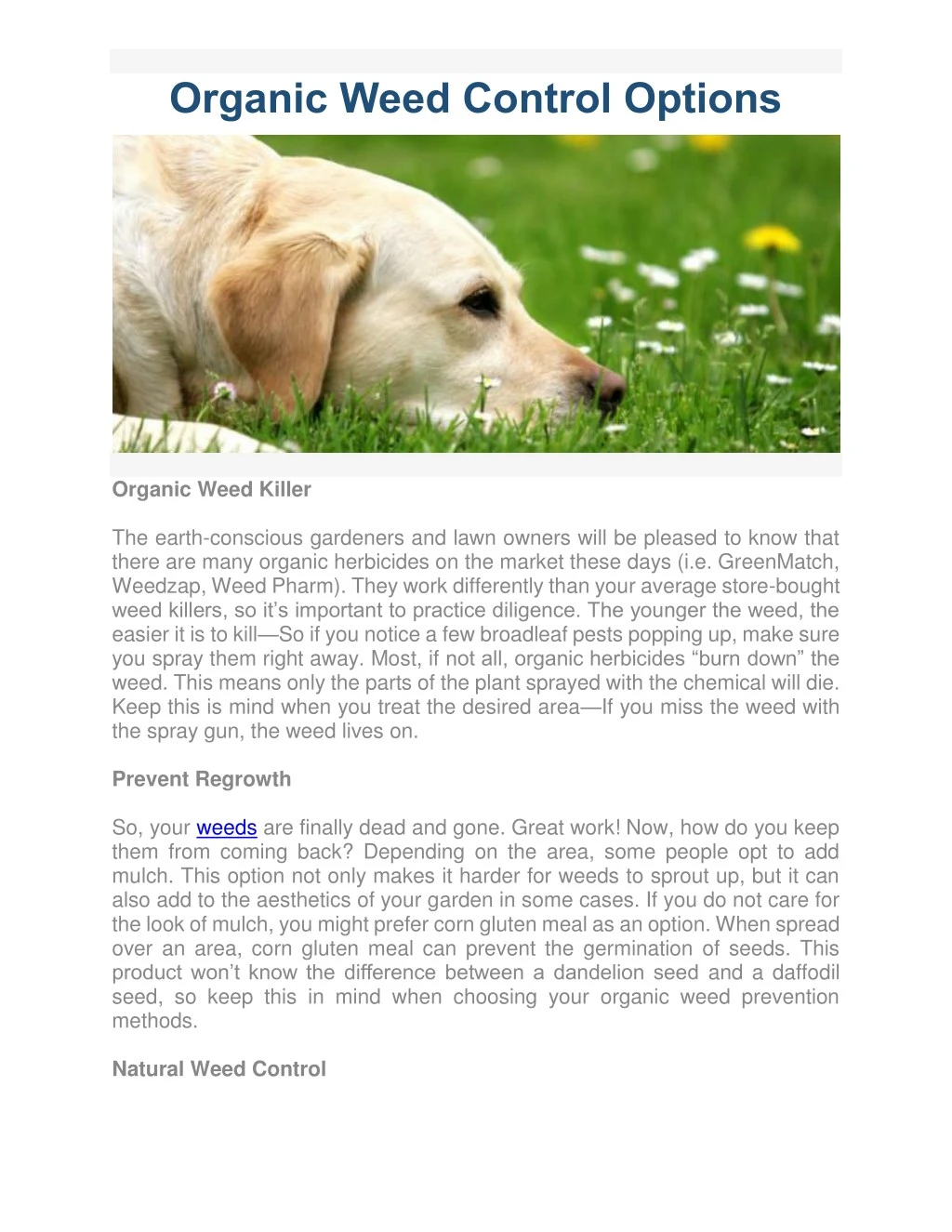PPT - Organic Weed Control Options PowerPoint Presentation, free ...