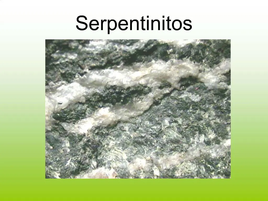 PPT - Serpentinitos PowerPoint Presentation, free download - ID:778506