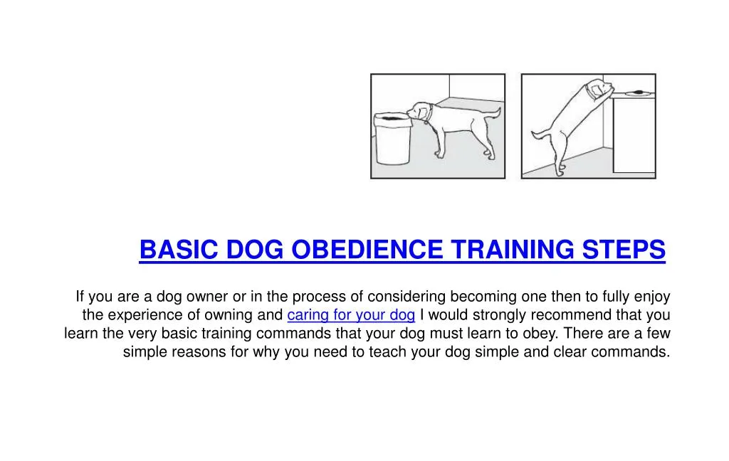 PPT - Basic Dog Obedience Training Steps PowerPoint Presentation, free ...