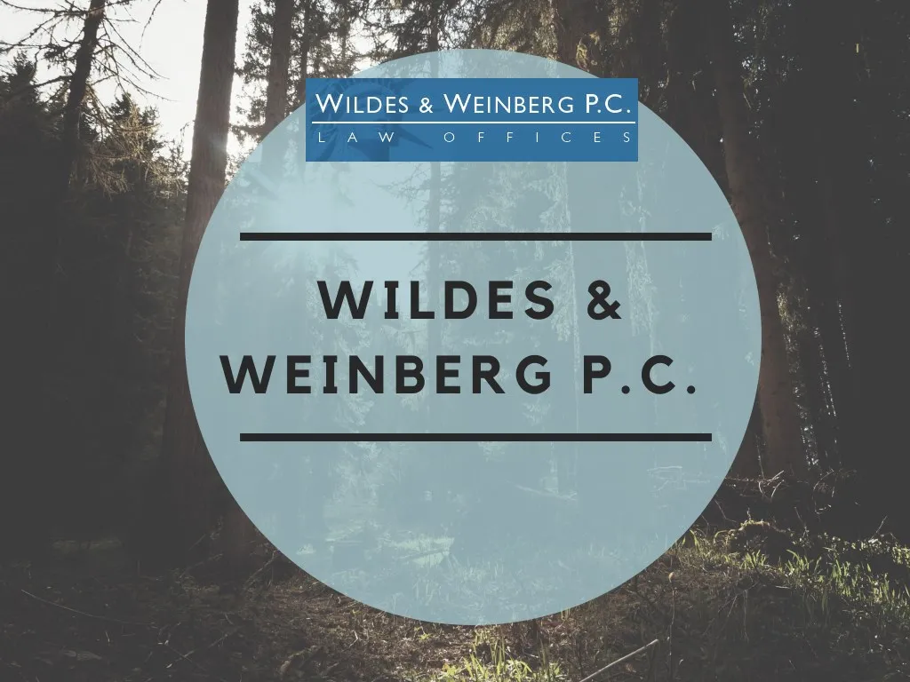 PPT - Top Immigration Lawyer from Wildes & Weinberg PowerPoint ... PPT - Top Immigration Lawyer from Wildes & Weinberg PowerPoint ...