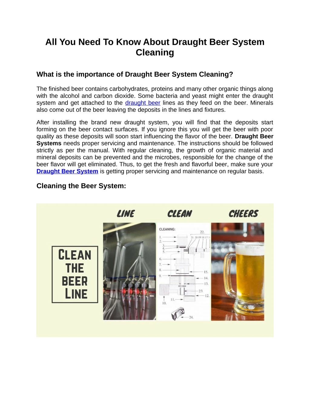 PPT - All You Need To Know About Draught Beer System Cleaning PowerPoint Presentation - ID:7821145