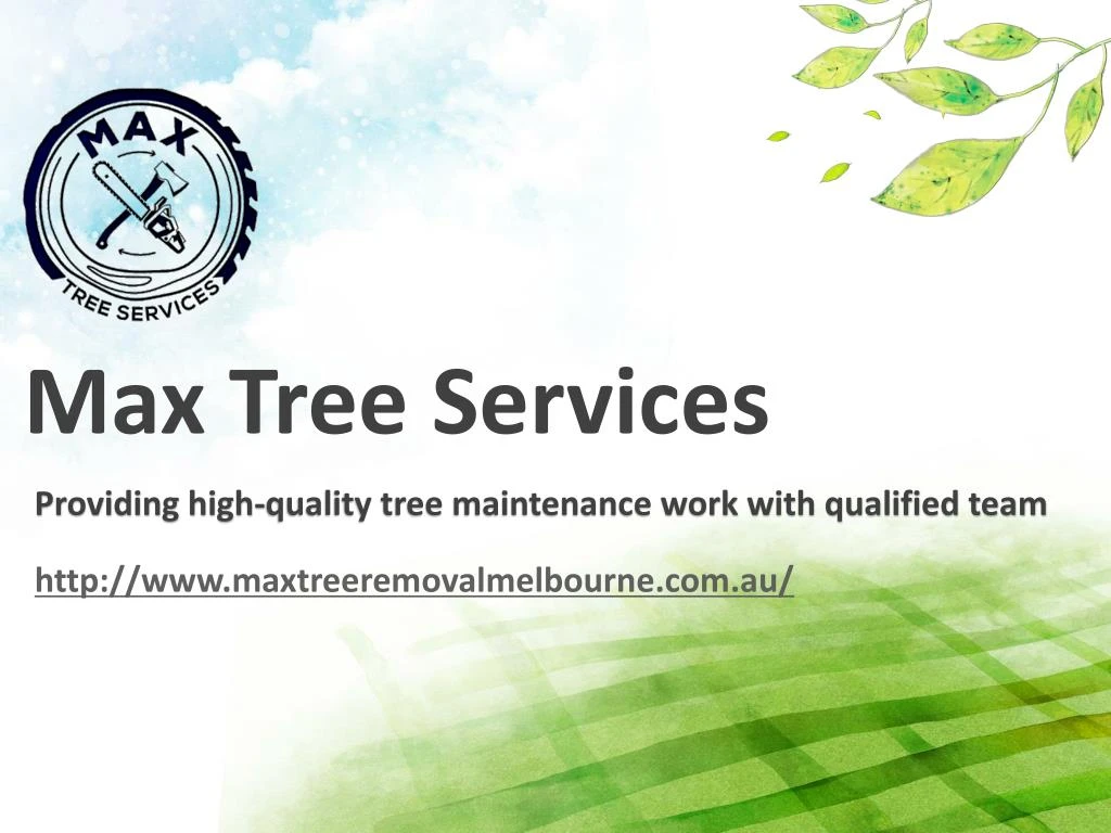 PPT - Tree Services Melbourne | Max Tree Services PowerPoint ...