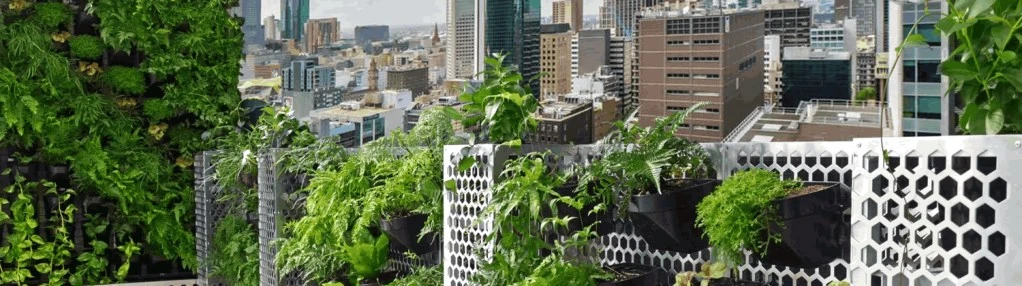 PPT - Vertical Gardens Melbourne Wall Gardens Melbourne AVGG VIC ...