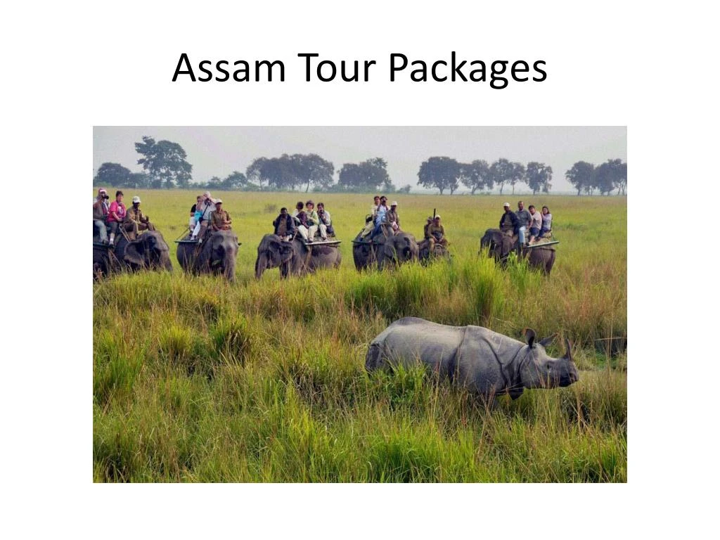 PPT - Assam Holiday Tour Packages PowerPoint Presentation, free ...