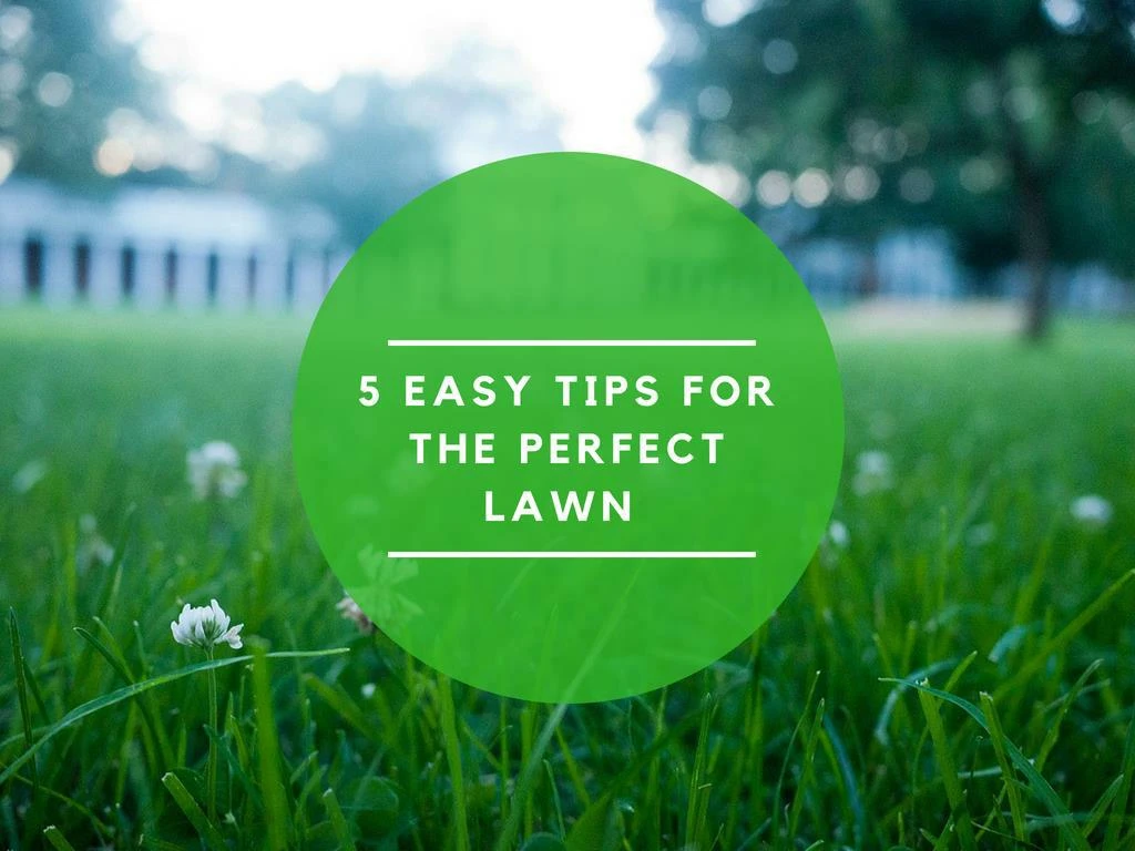 PPT - 5 Easy Tips for the Perfect Lawn PowerPoint Presentation, free ...