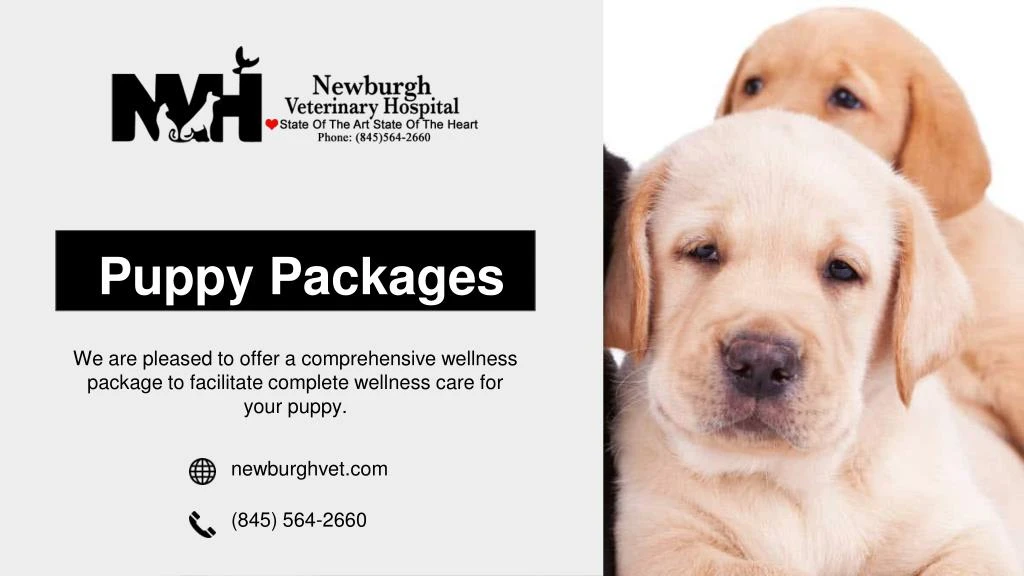 PPT - Great Puppy Packages by Newburgh Veterinary Hospital PowerPoint ...