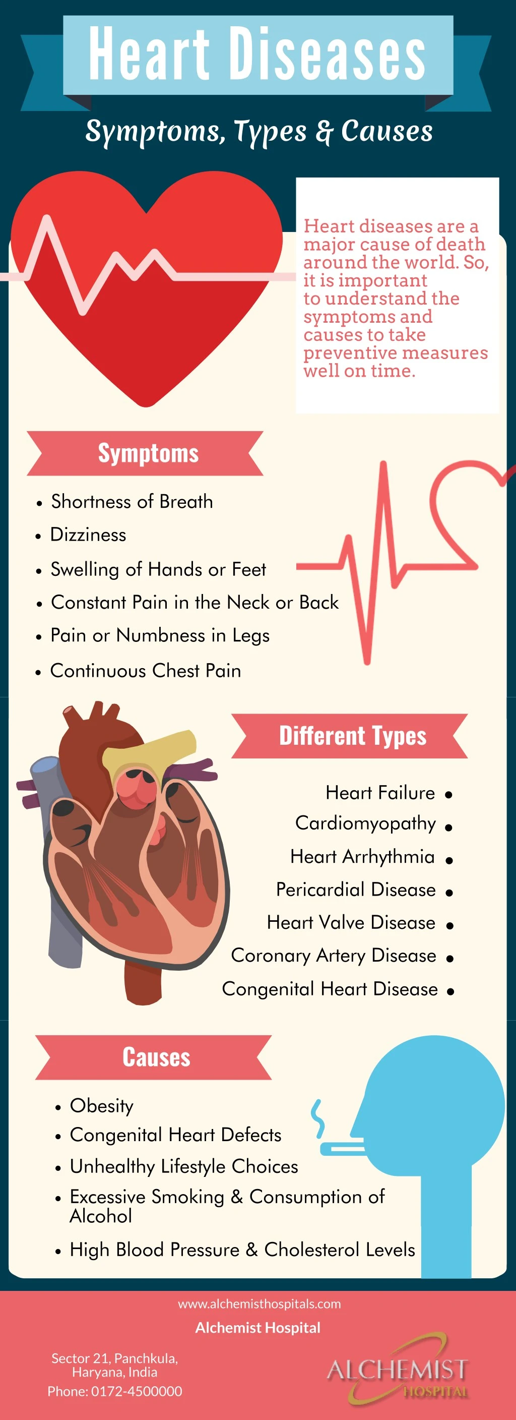 PPT - Heart Diseases: Symptoms, Types & Causes PowerPoint Presentation ...
