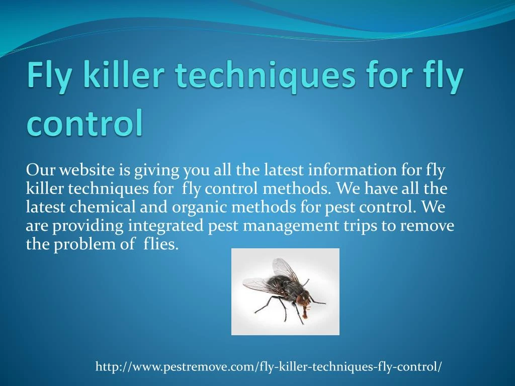PPT - FLY KILLER TECHNIQUES FOR FLY CONTROL PowerPoint Presentation ...