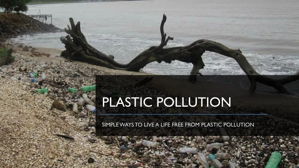 PPT - Simple Ways to Live a Life Free From Plastic Pollution PowerPoint ...