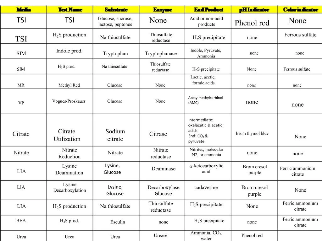 PPT - TSI PowerPoint Presentation, free download - ID:791332