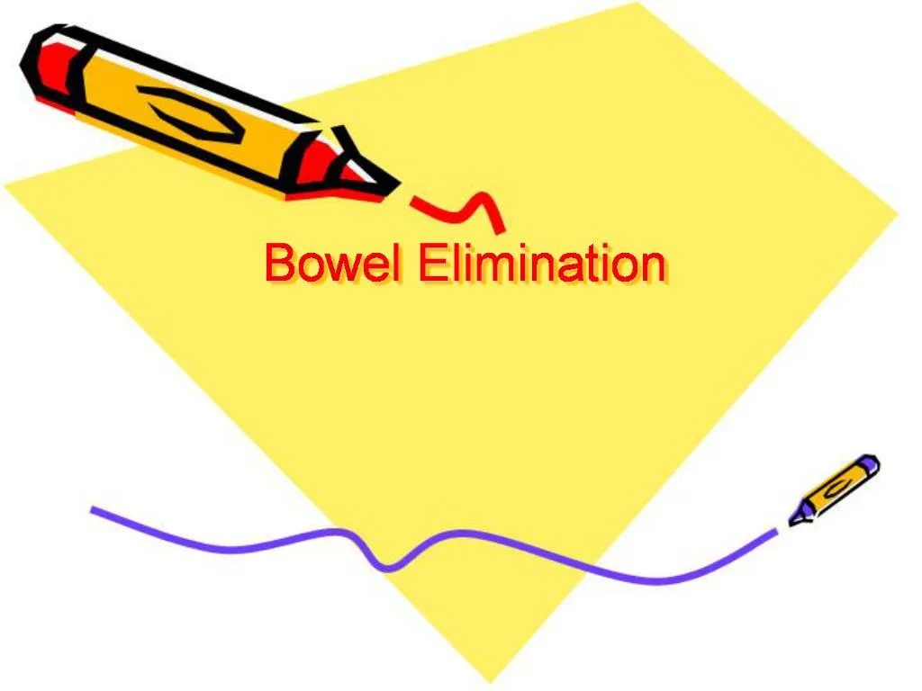 PPT - Bowel Elimination PowerPoint Presentation, free download - ID:791942