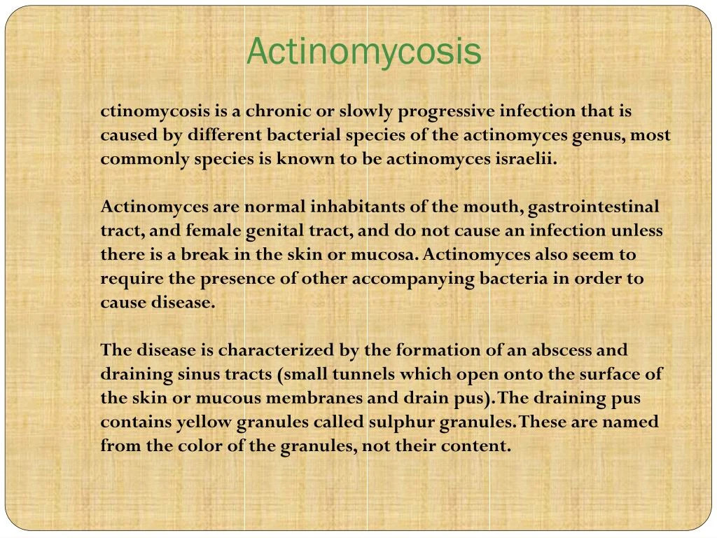 PPT - Actinomycosis PowerPoint Presentation - ID:7924596