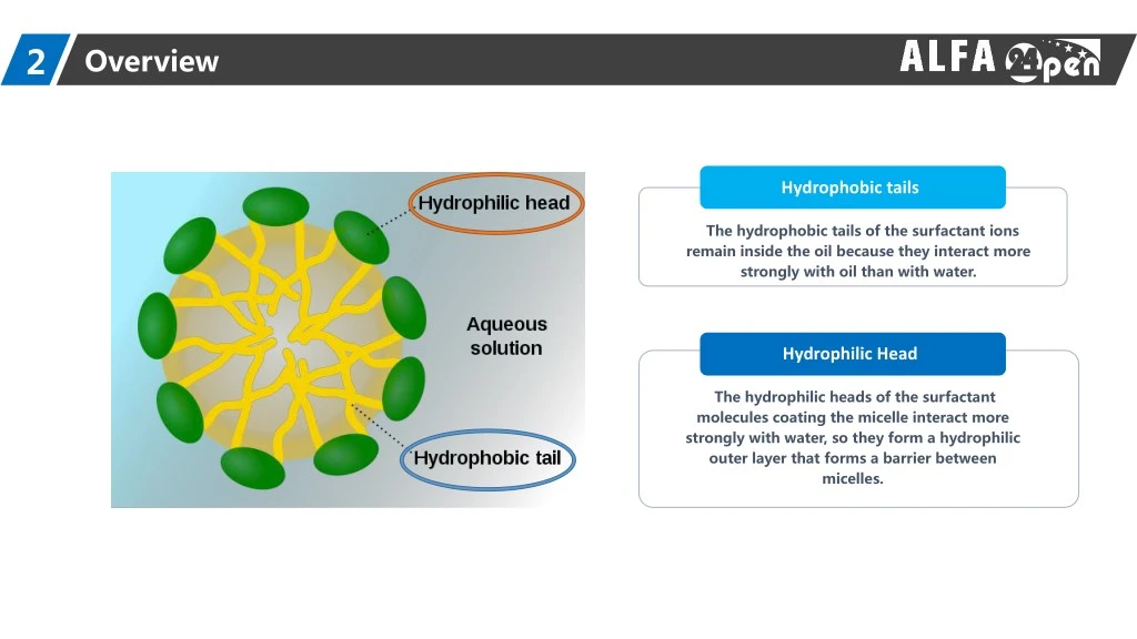 PPT - Surfactant PowerPoint Presentation - ID:7929693