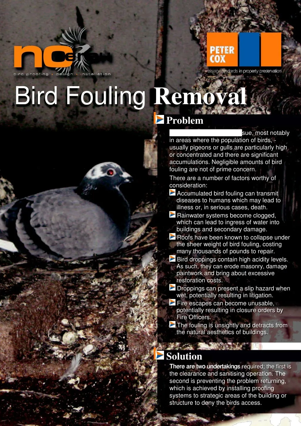 PPT - Peter Cox - Bird Fouling Removal PowerPoint Presentation, free ...