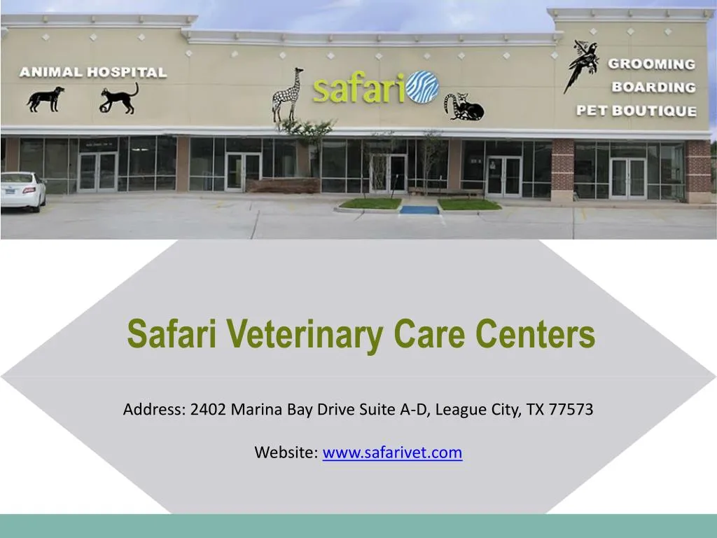 PPT - Pet Grooming: Give Your Pet A Stylish Look From Safari Vet ...