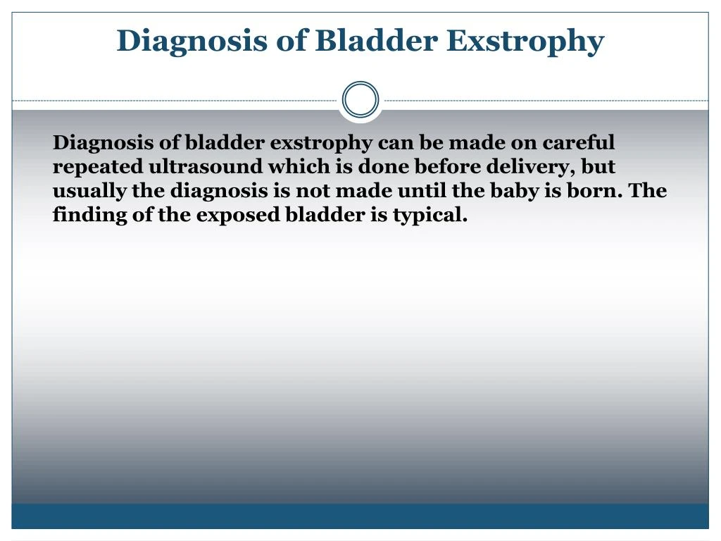 PPT - Bladder Exstrophy PowerPoint Presentation - ID:7932163