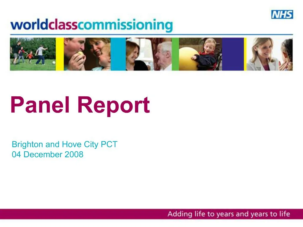 PPT - Panel Report PowerPoint Presentation, free download - ID:795816