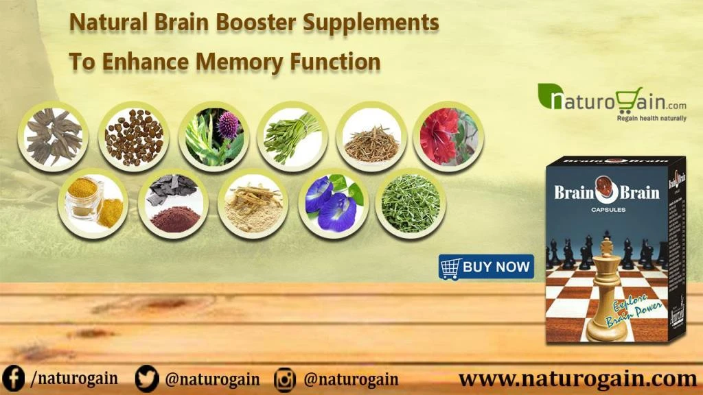 PPT - Natural Brain Booster Supplements to Enhance Memory Function ...