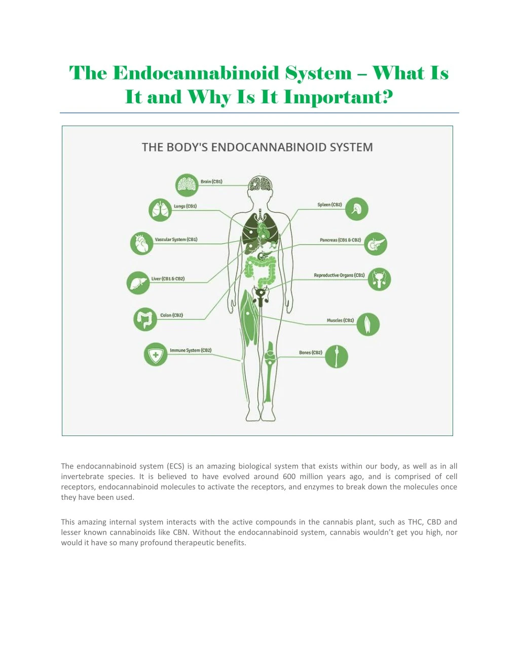 PPT - The Endocannabinoid System â€“ What Is It and Why Is It Important ...