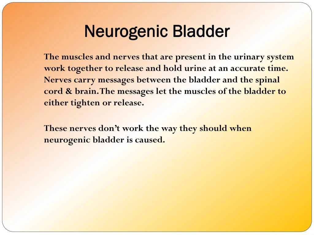 PPT - Neurogenic Bladder: Causes, Symptoms, Daignosis, Prevention and ...