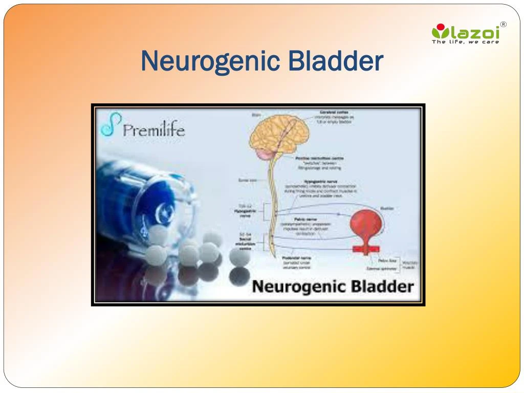 PPT - Neurogenic Bladder: Causes, Symptoms, Daignosis, Prevention and ...