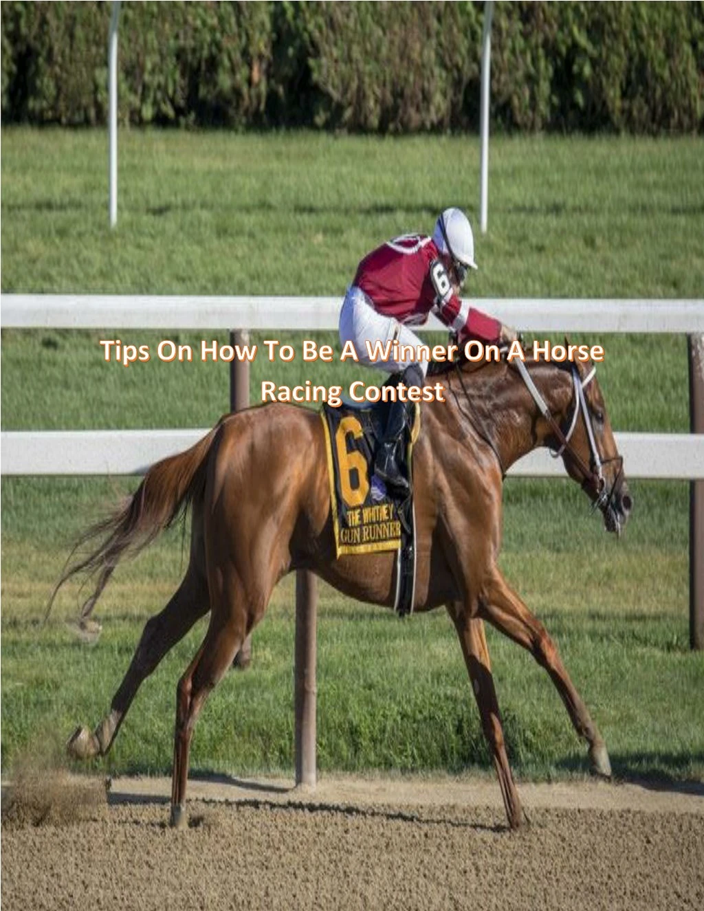 PPT - Tips on how to be a winner on a horse racing contest PowerPoint ...