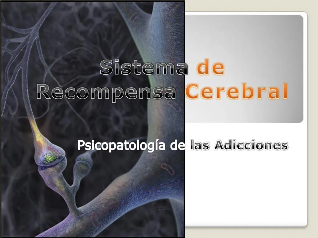 PPT - Sistema de Recompensa Cerebral PowerPoint Presentation, free ...