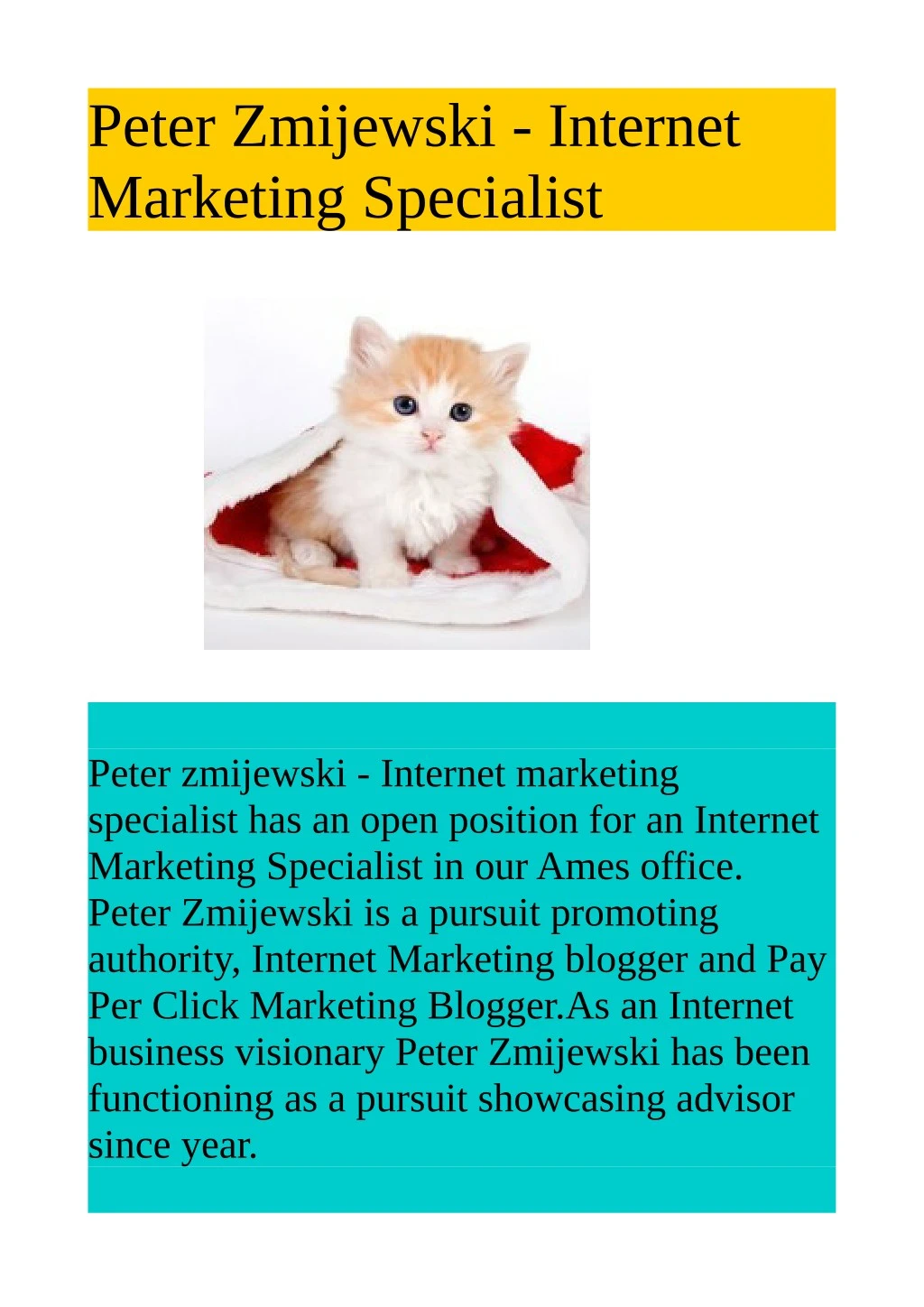 PPT - Peter Zmijewski - Internet Marketing Specialist PowerPoint ... PPT - Peter Zmijewski - Internet Marketing Specialist PowerPoint ...