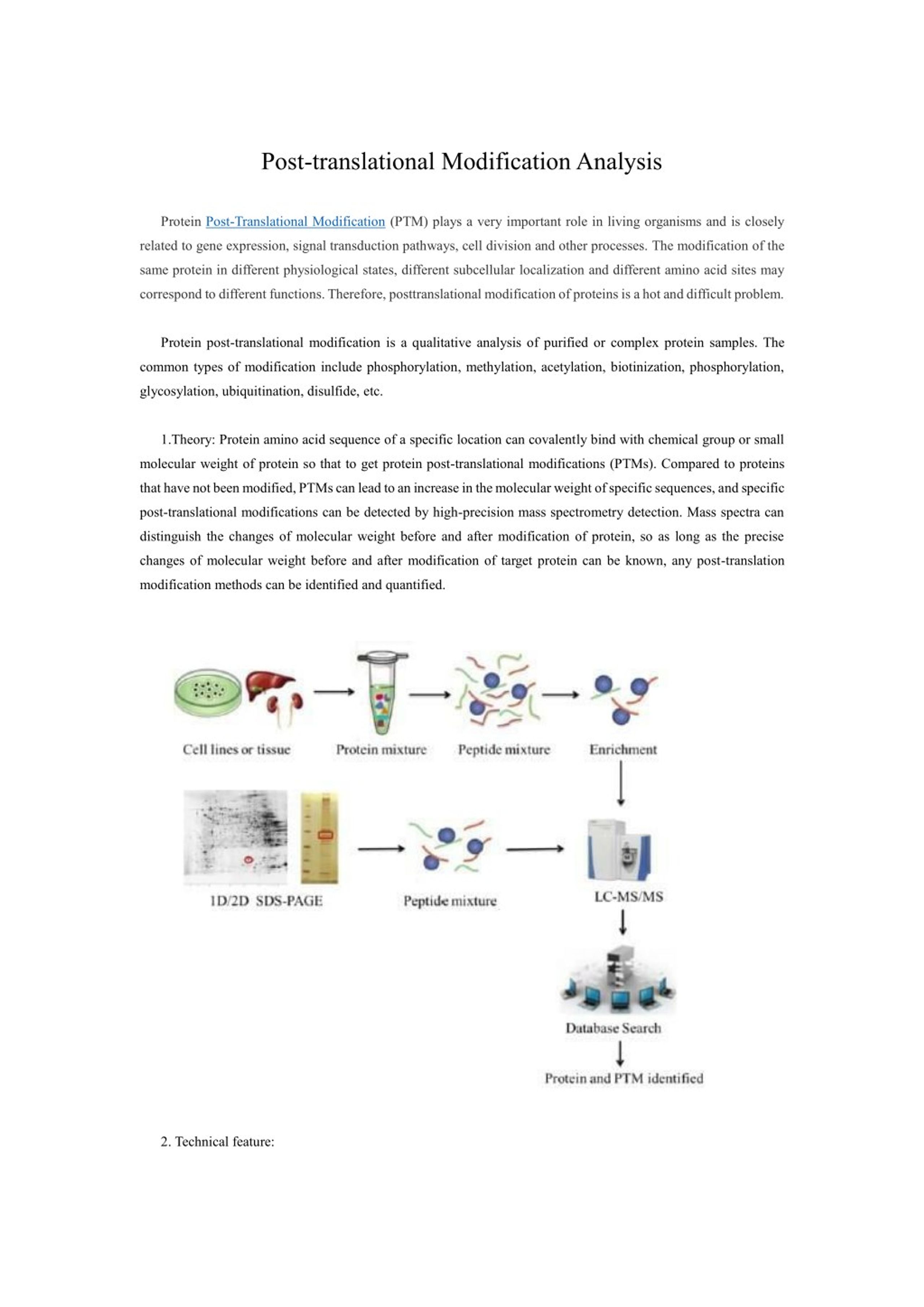 PPT Post translational Modification Analysis PowerPoint Presentation PPT Post translational Modification Analysis PowerPoint Presentation