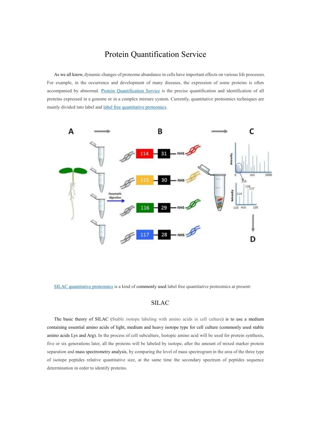 PPT - Protein Quantification Service PowerPoint Presentation, free ... PPT - Protein Quantification Service PowerPoint Presentation, free ...