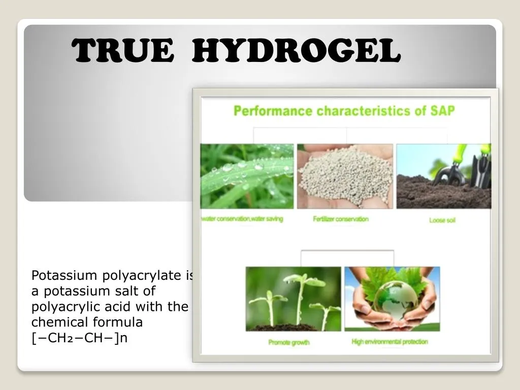 PPT - Applications of Super Absorbent Polymers in Agriculture ...