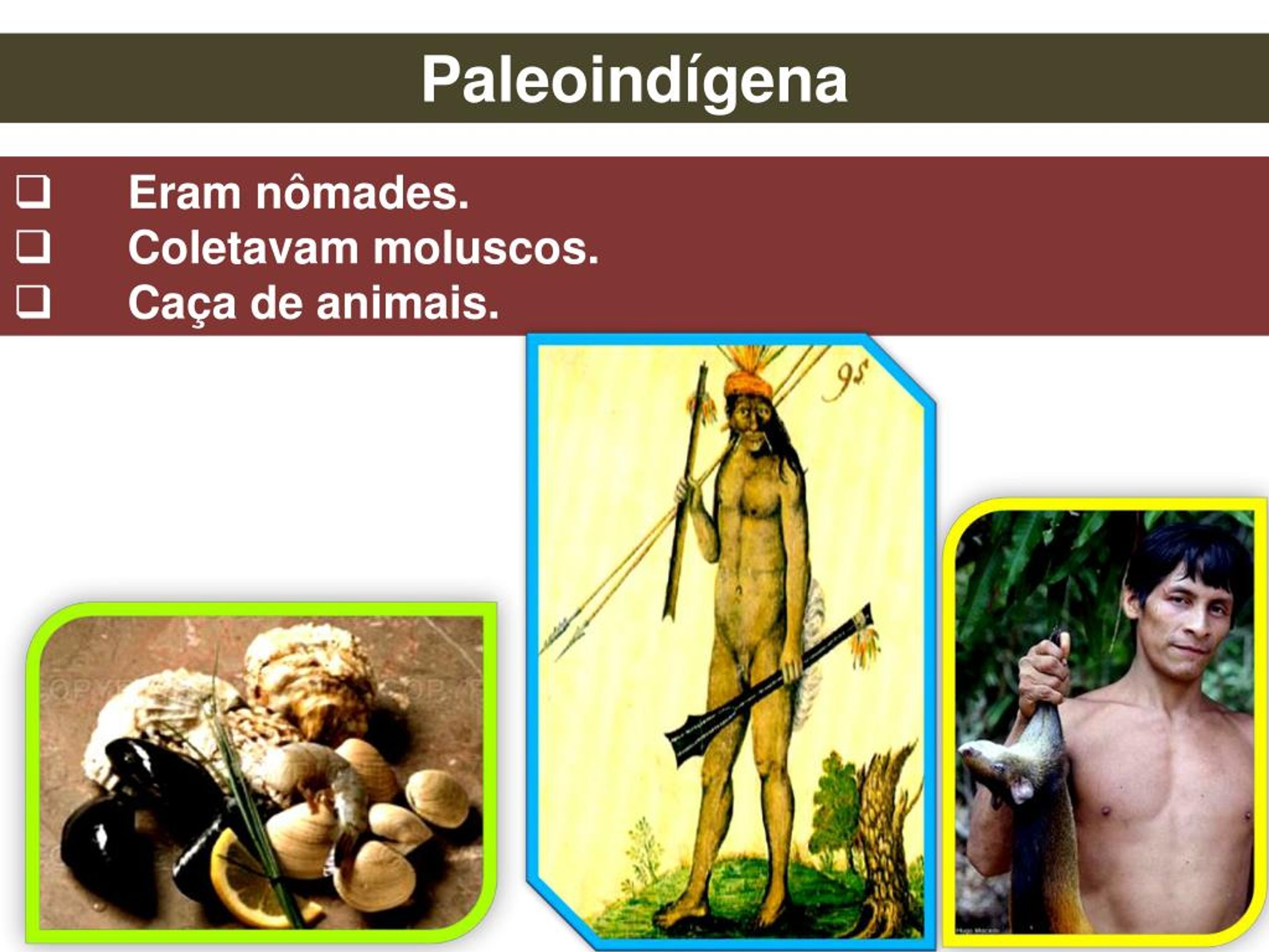 PPT - Fases da Pré-história da Amazônia PowerPoint Presentation, free ...