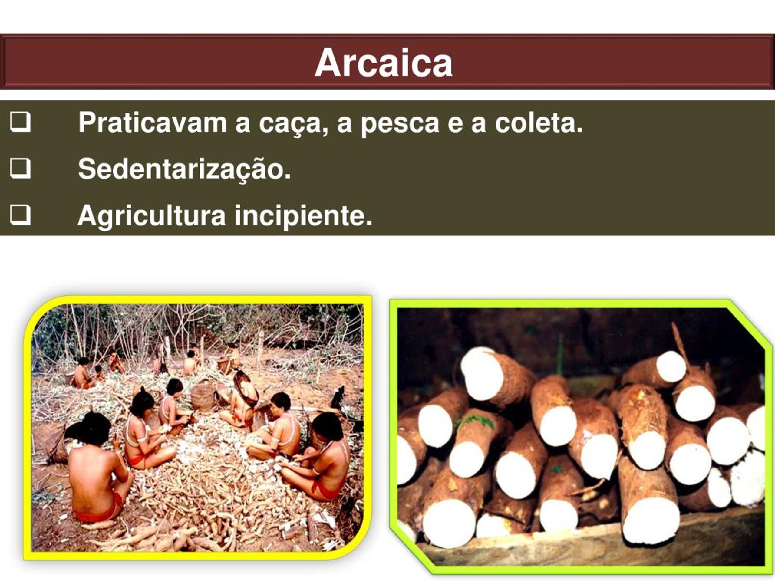 PPT - Fases da Pré-história da Amazônia PowerPoint Presentation, free ...