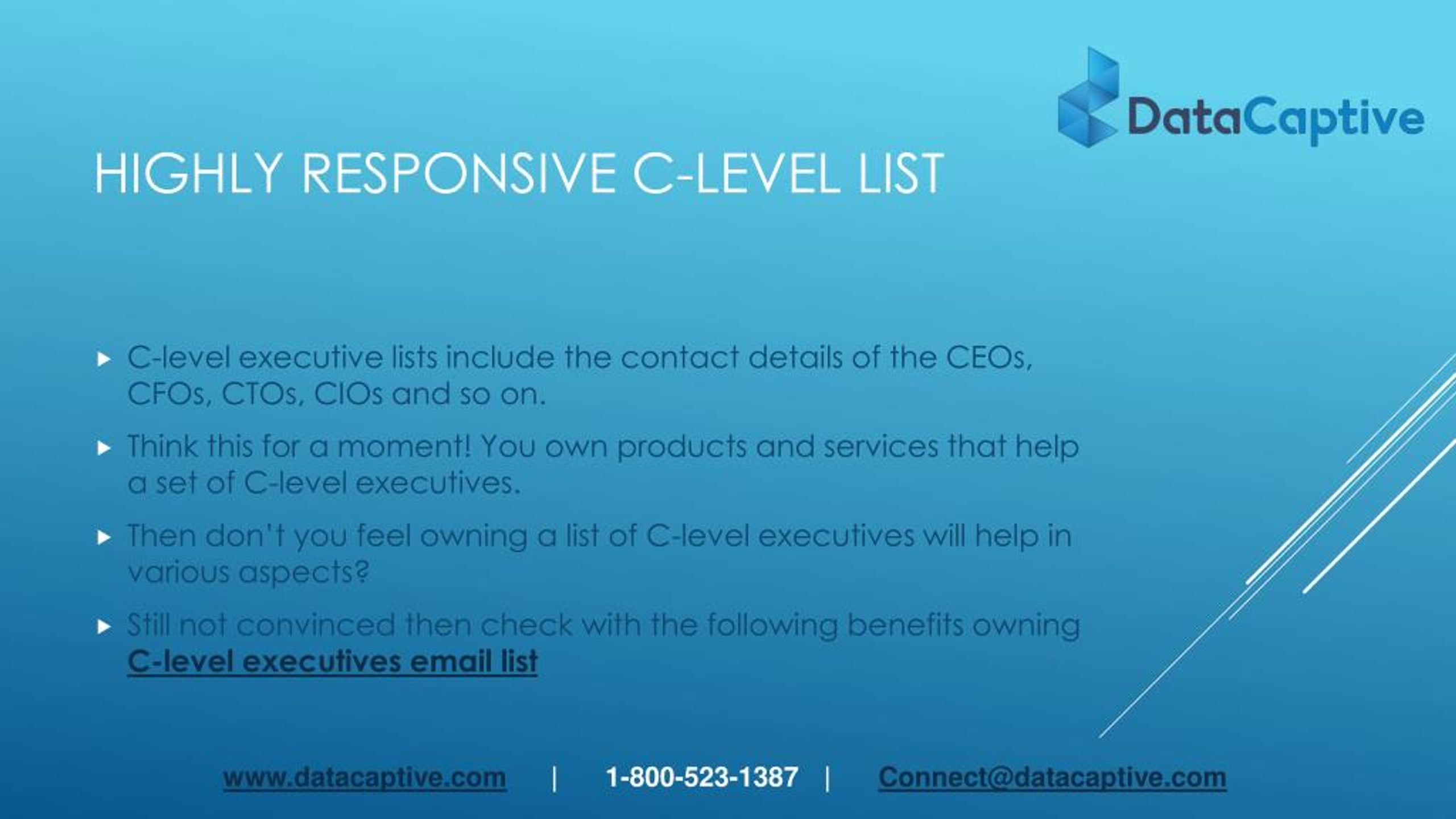 PPT What Are C level Executives How To Avail Their Email List That ppt-what-are-c-level-executives-how-to-avail-their-email-list-that