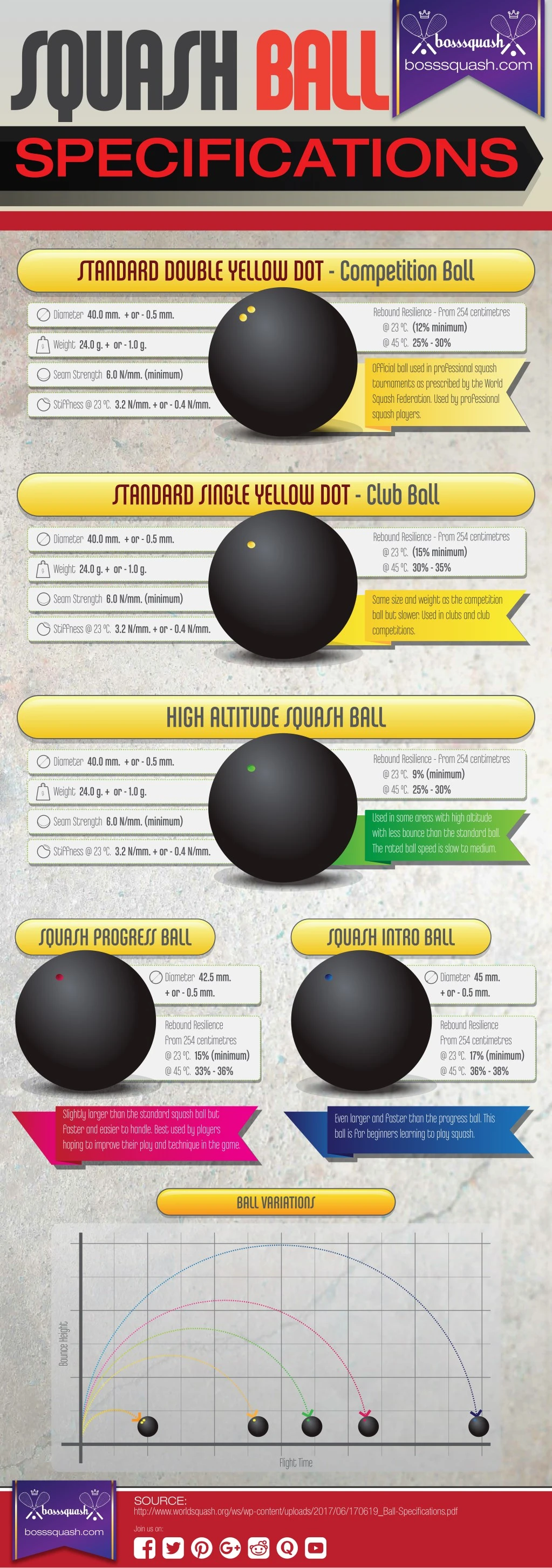 PPT - Check Out The Squash Ball Specifications PowerPoint Presentation ...