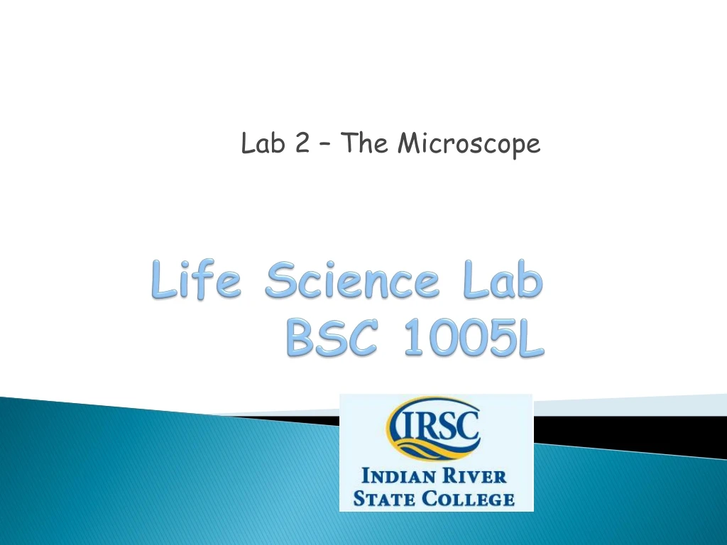 PPT - Life Science Lab BSC 1005L PowerPoint Presentation, free download ...