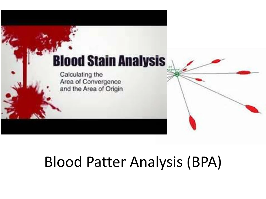 PPT - Blood Patter Analysis (BPA) PowerPoint Presentation, free ...