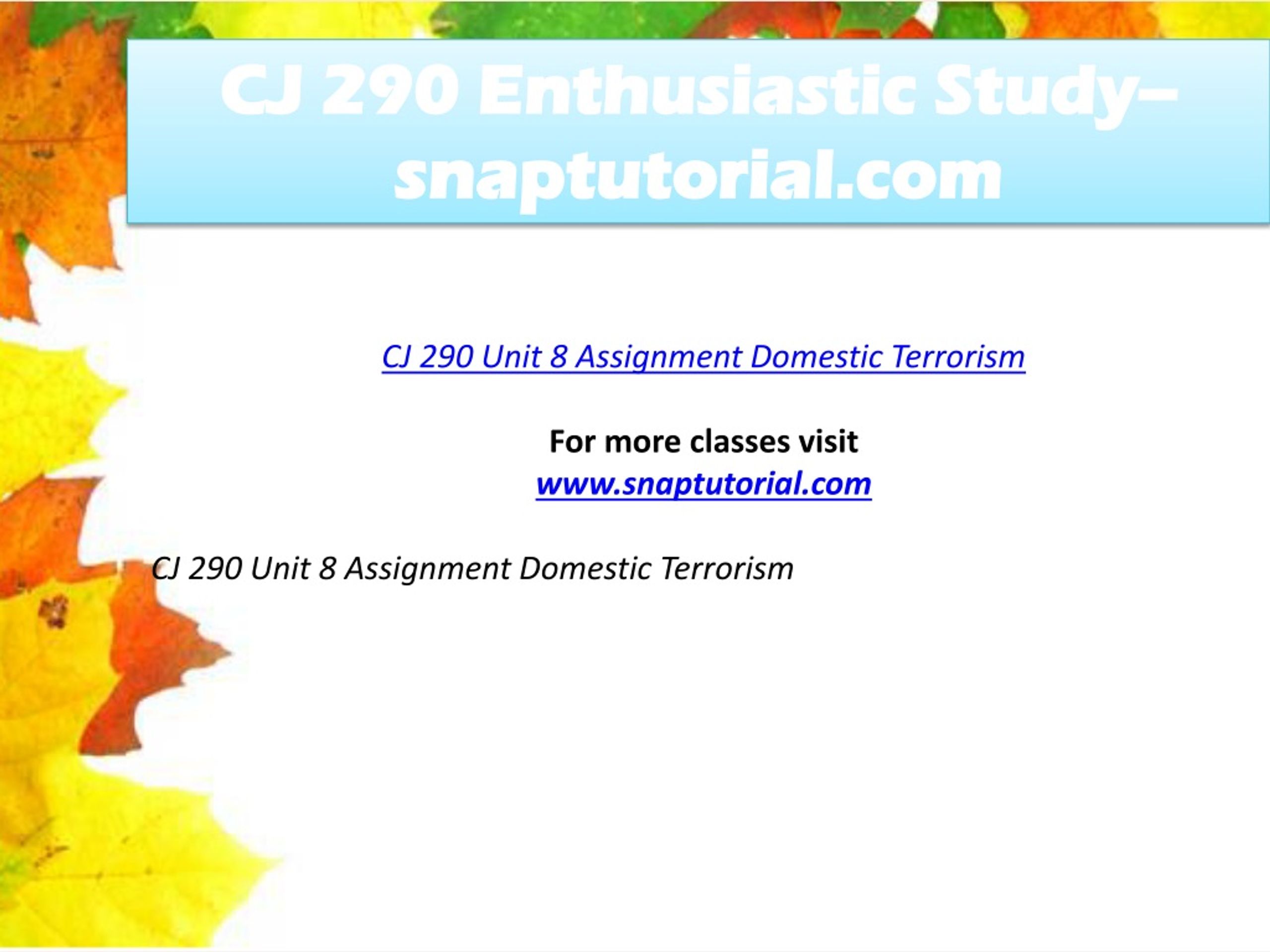 PPT - CJ 290 Enthusiastic Study / snaptutorial.com PowerPoint Presentation - ID:8157432