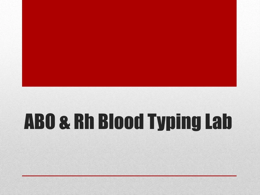 PPT - ABO & Rh Blood Typing Lab PowerPoint Presentation, free download ...